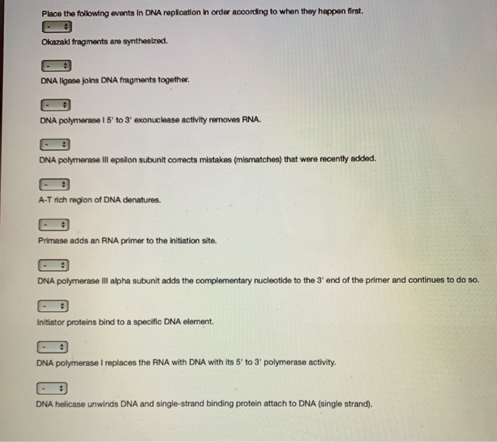 Solved Place the following events in DNA replication in | Chegg.com