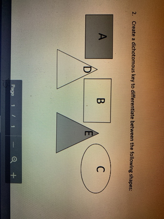 Solved 2. Create a dichotomous key to differentiate between | Chegg.com