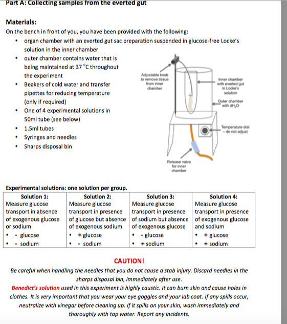 Solved 13. In this experiment, what was the purpose of | Chegg.com