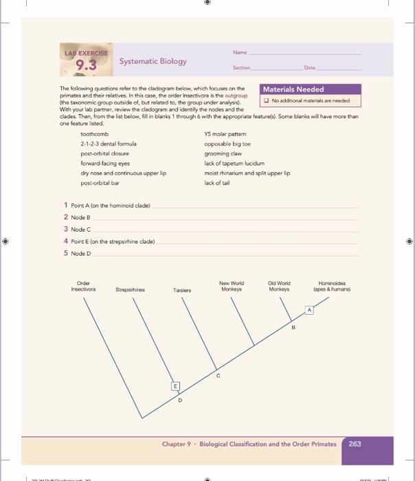 Solved Name LAB EXERCISE .3 Systematic Biology The following | Chegg.com