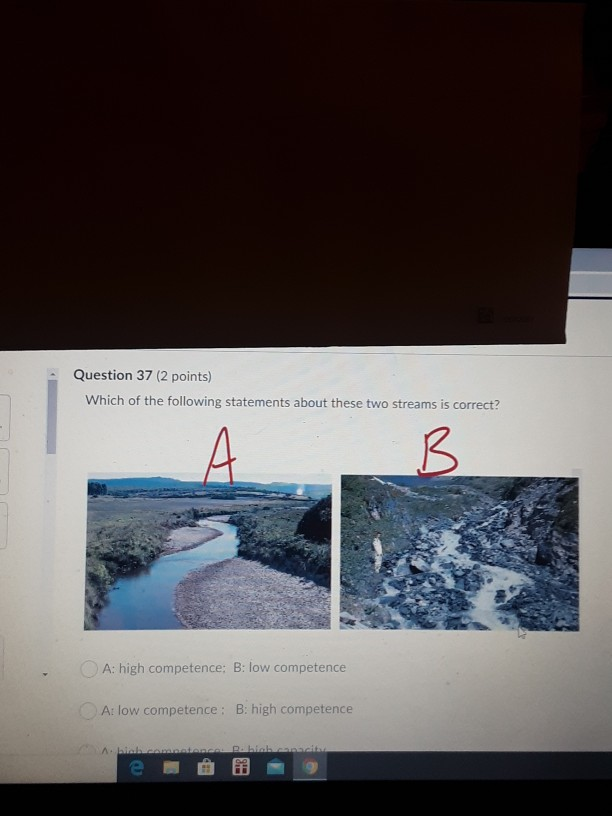 Solved 37.) Which of the following statements about these | Chegg.com