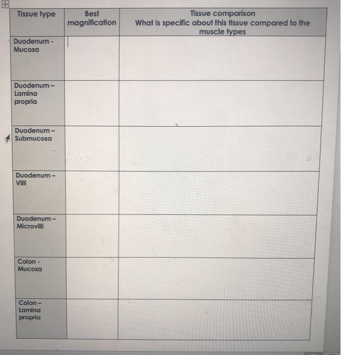 Solved Tissue type Best Tissue comparison magnification What | Chegg.com