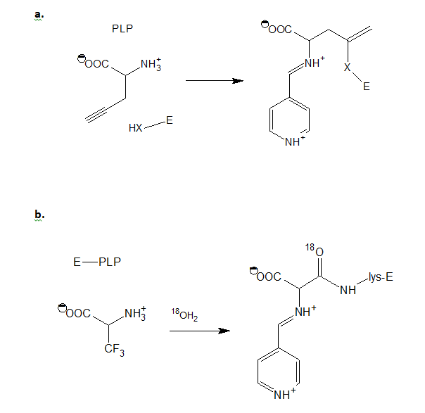 PLP-dependent reactions Draw mechanisms for the above | Chegg.com