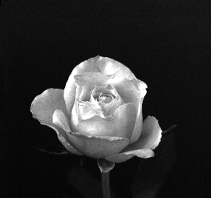 Solved MATLAB: i was trying to imcomplement command wasnt | Chegg.com