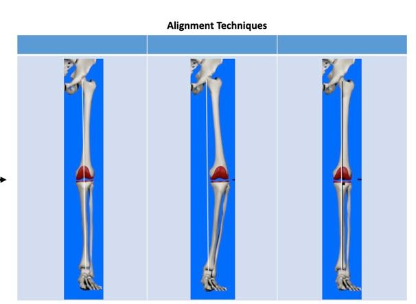 Solved Label the images in table with the corresponding | Chegg.com