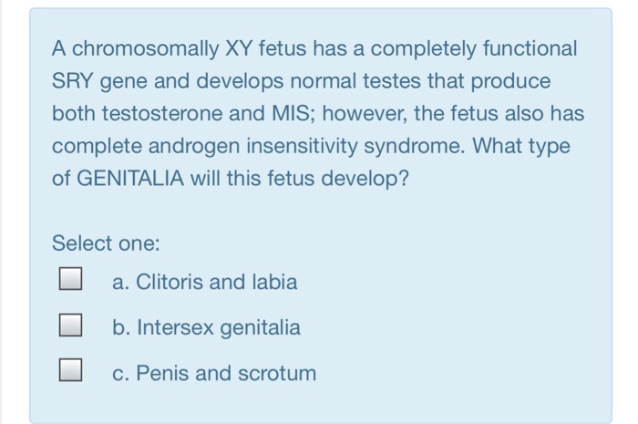 Solved How do the Klein grid and the Kinsey scale differ | Chegg.com