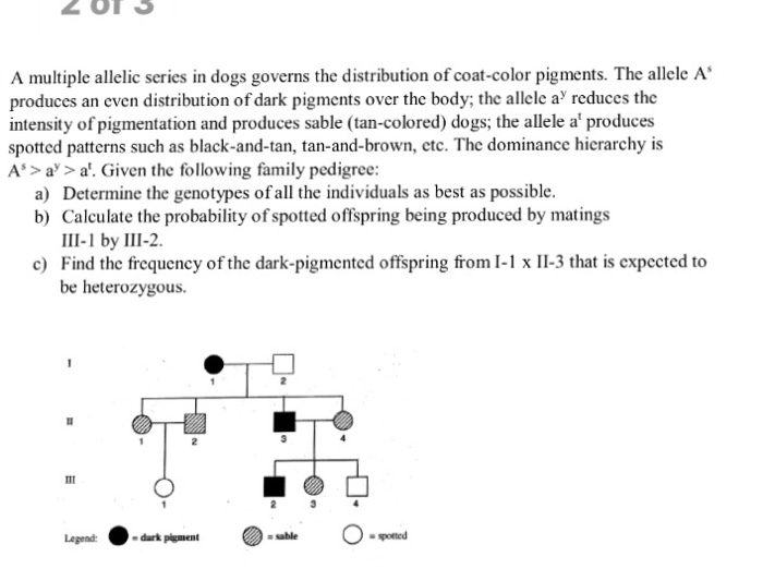 Solved a multiple allele series in dog governs the | Chegg.com