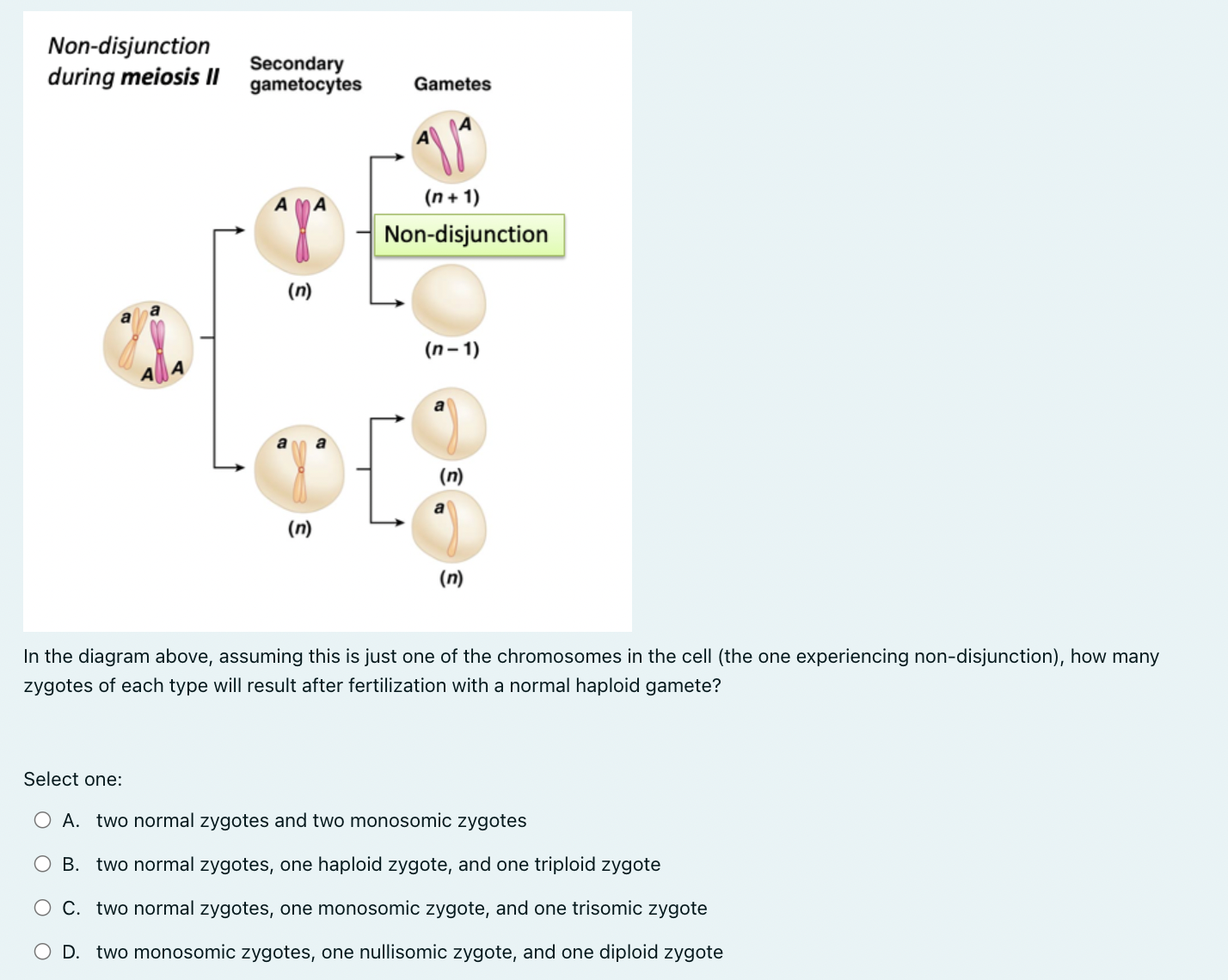 Solved In the diagram above, assuming this is just one of | Chegg.com