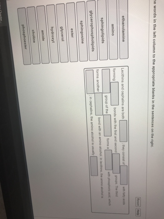 Solved e words in the left column to the appropriate blanks | Chegg.com