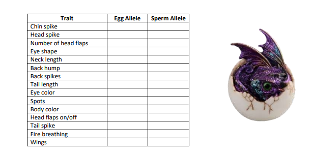 Solved Dragon Genetics Activity Students will work in pairs | Chegg.com