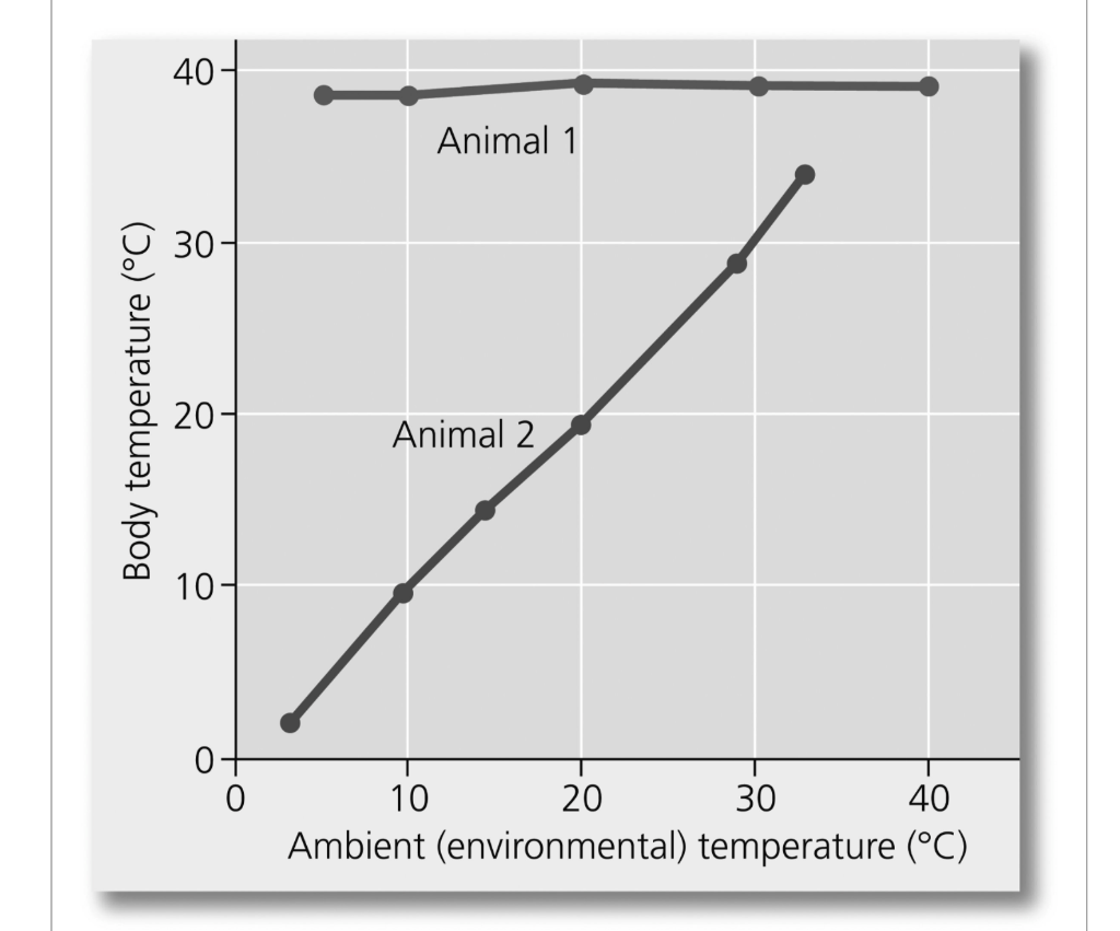 Solved 40- Animal 1 30- Body temperature (°C) 20- Animal 2 | Chegg.com