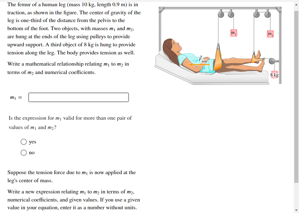 Solved The femur of a human leg (mass 10 kg, length 0.9 m) | Chegg.com