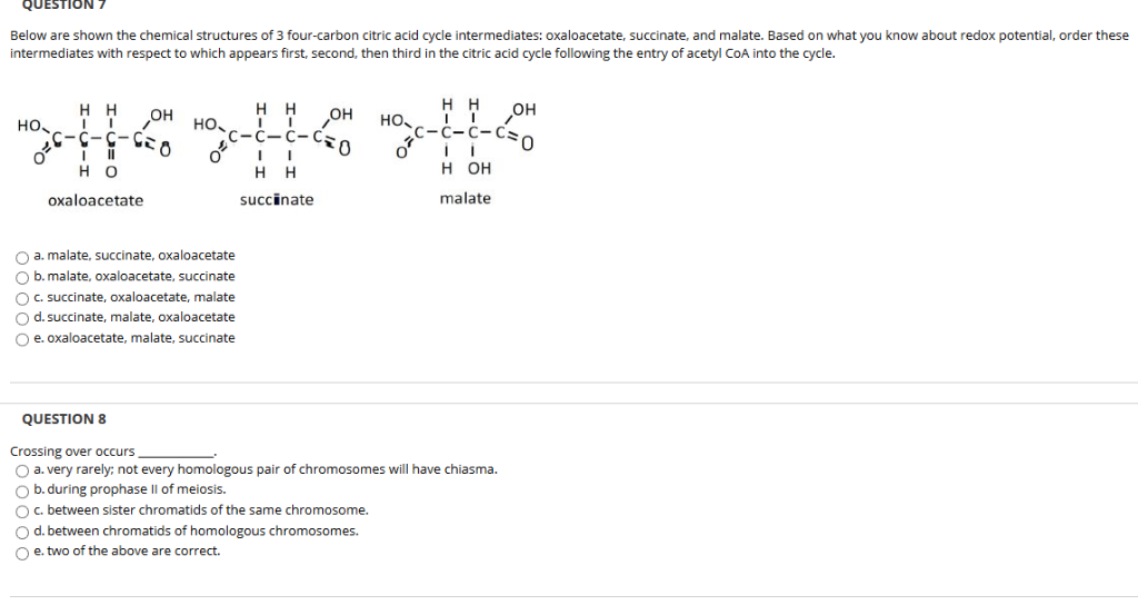 Citric Acid Cycle Structures