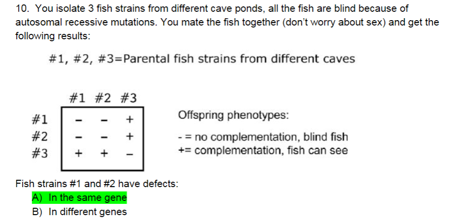 Solved 10. You isolate 3 fish strains from different cave | Chegg.com
