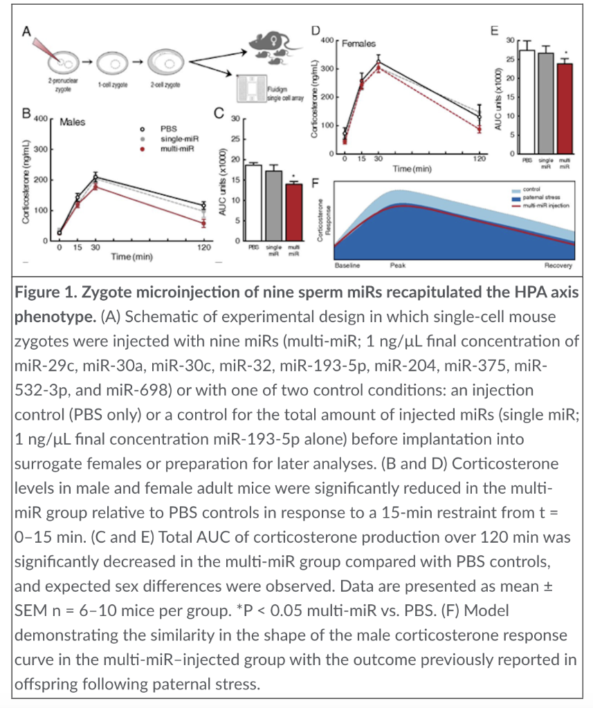 Solved Figure 1. Zygote microinjection of nine sperm miRs | Chegg.com