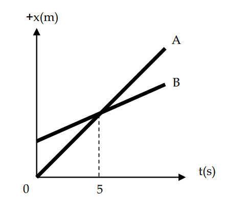 Solved 5) Consider the position vs. time graph at right for | Chegg.com