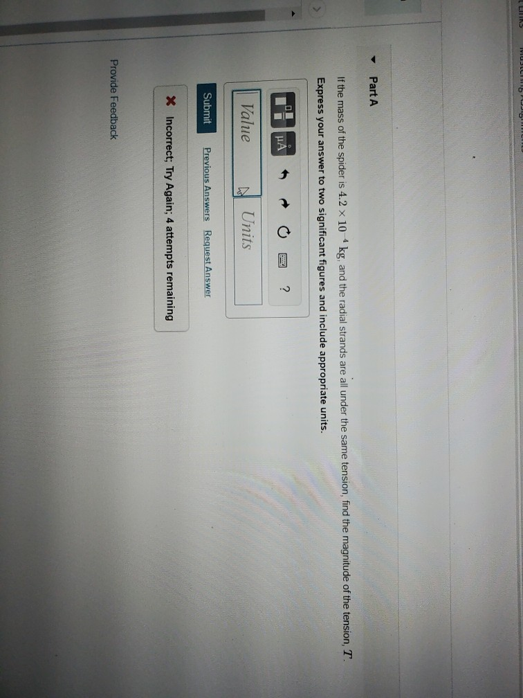 Solved An orb-weaver spider sits in her web that is | Chegg.com