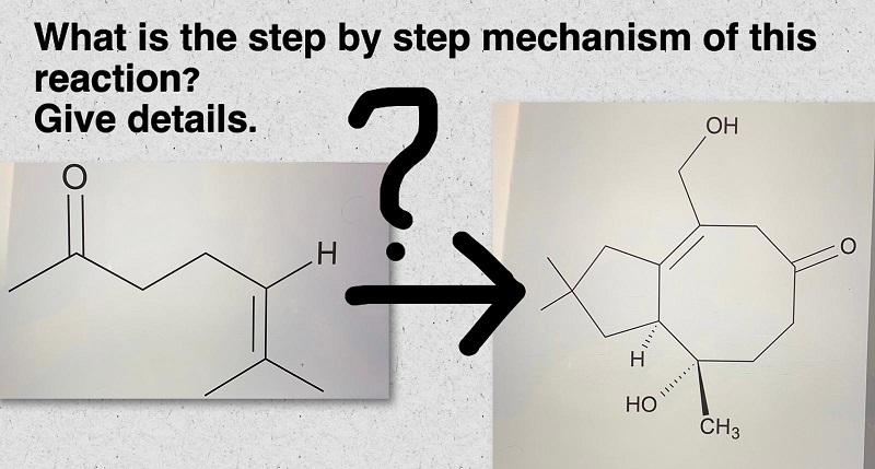 Solved What is the step by step mechanism of this reaction? | Chegg.com