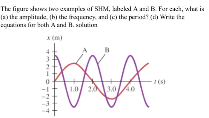 Solved The figure shows two examples of SHM, labeled A and | Chegg.com