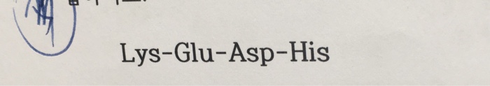 Solved Lys-Glu-Asp-His | Chegg.com