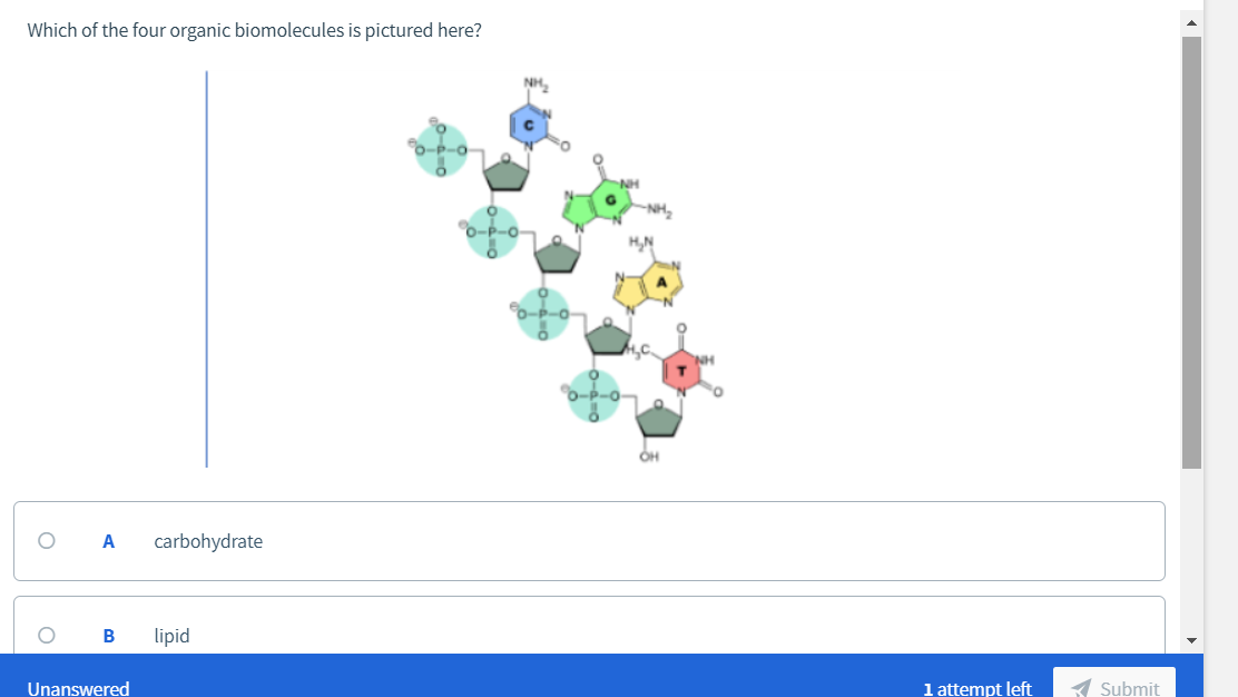 Solved which of the four organic biomolecules is pictured | Chegg.com