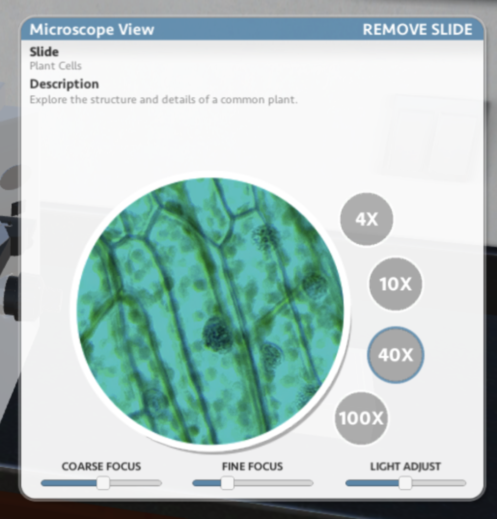 Solved REMOVE SLIDE Microscope View Slide Plant Cells | Chegg.com