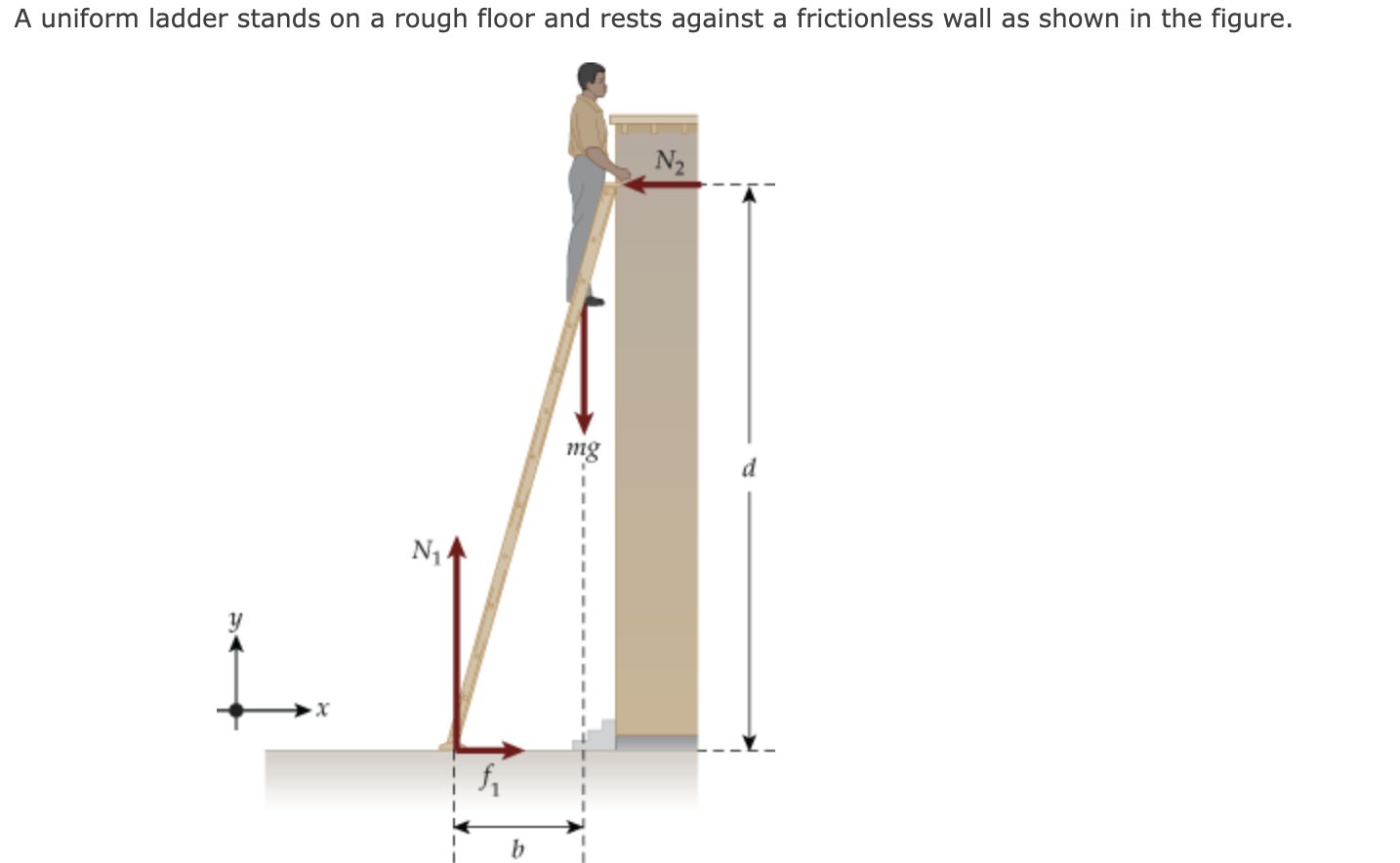 Solved A uniform ladder stands on a rough floor and rests | Chegg.com