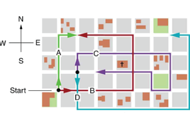 Solved The various lines represent routes taken by different | Chegg.com
