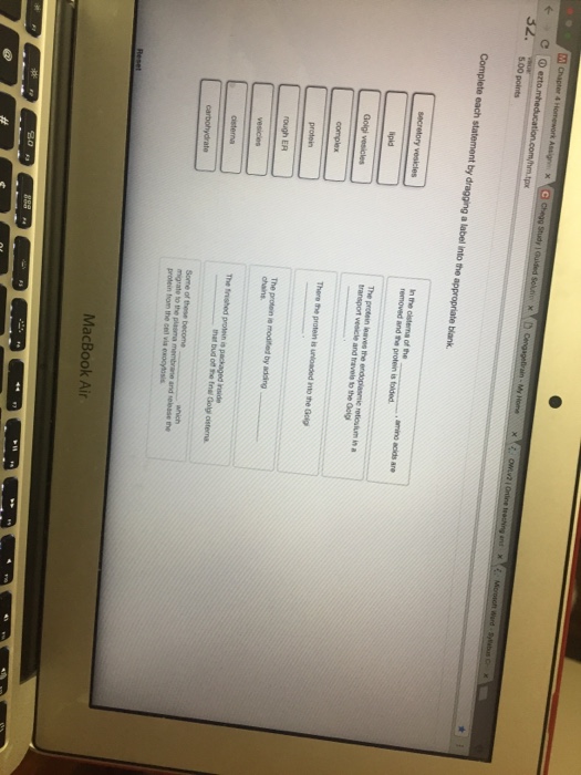 Complete each statement by dragging a label into the | Chegg.com Complete each statement by dragging a label into the | Chegg.com