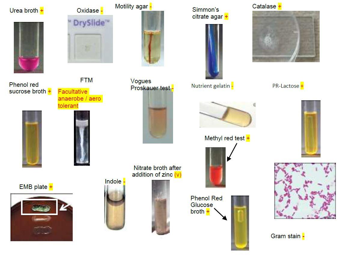 Solved QUESTION: Please help me to find out my unknown | Chegg.com