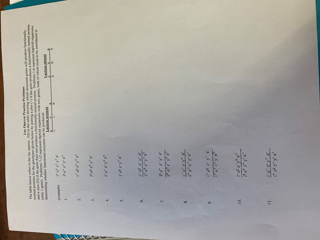 Solved Lac operon practice problems The table below refers | Chegg.com