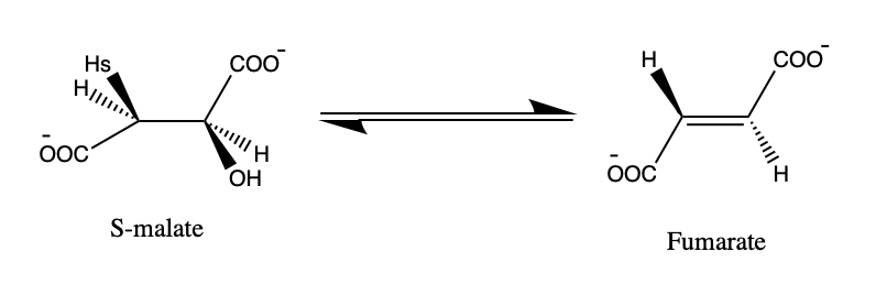 Solved Propose an acid-base mechanism for the conversion of | Chegg.com