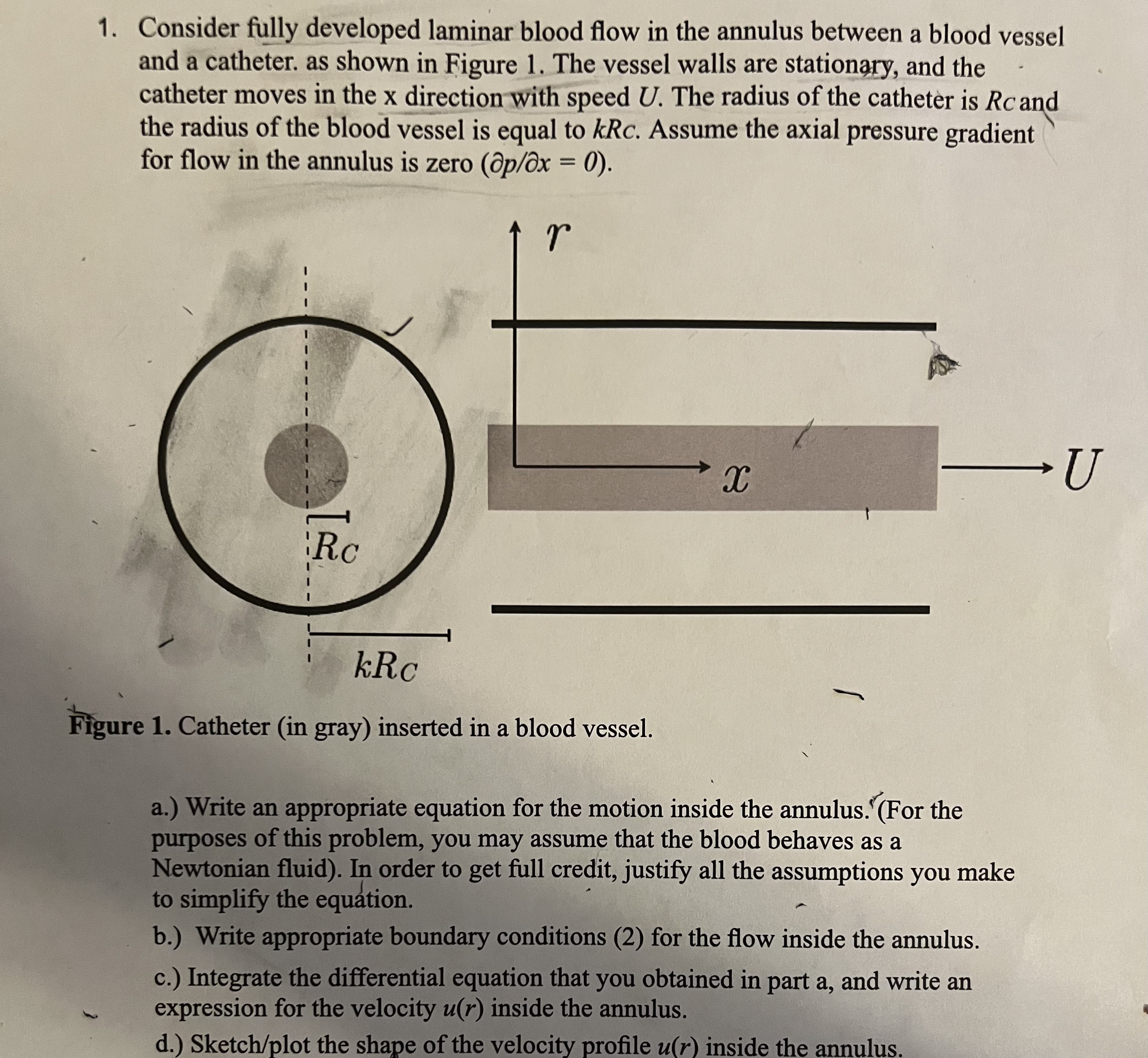 Solved Consider fully developed laminar blood flow in the | Chegg.com