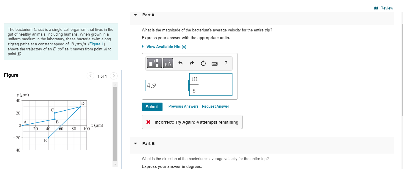 Solved The bacterium E coli is a single-cell organism that | Chegg.com