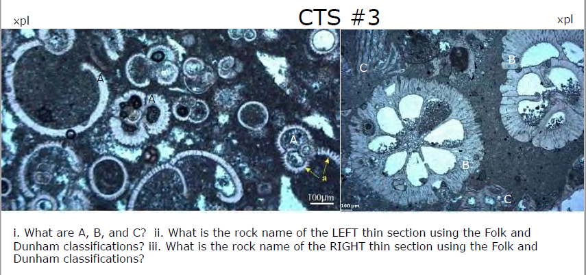 Solved i. What are A, B, and C? ii. What is the rock name of | Chegg.com