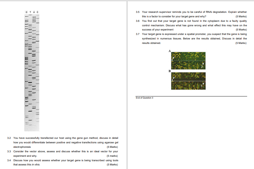 Solved Question 1 - Bioinformatics 20 Marks Study the | Chegg.com