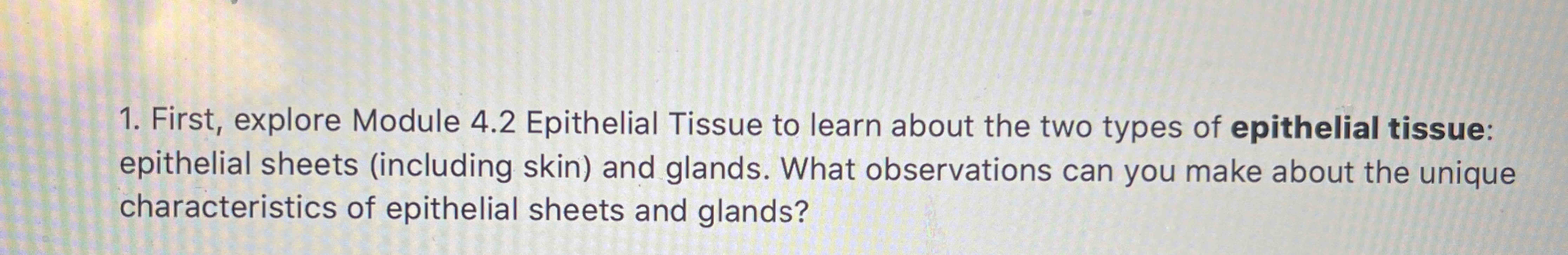 Solved First, explore Module 4.2 ﻿Epithelial Tissue to learn | Chegg.com