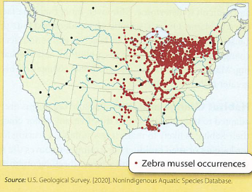Solved Zebra mussels were accidentally introduced to the | Chegg.com