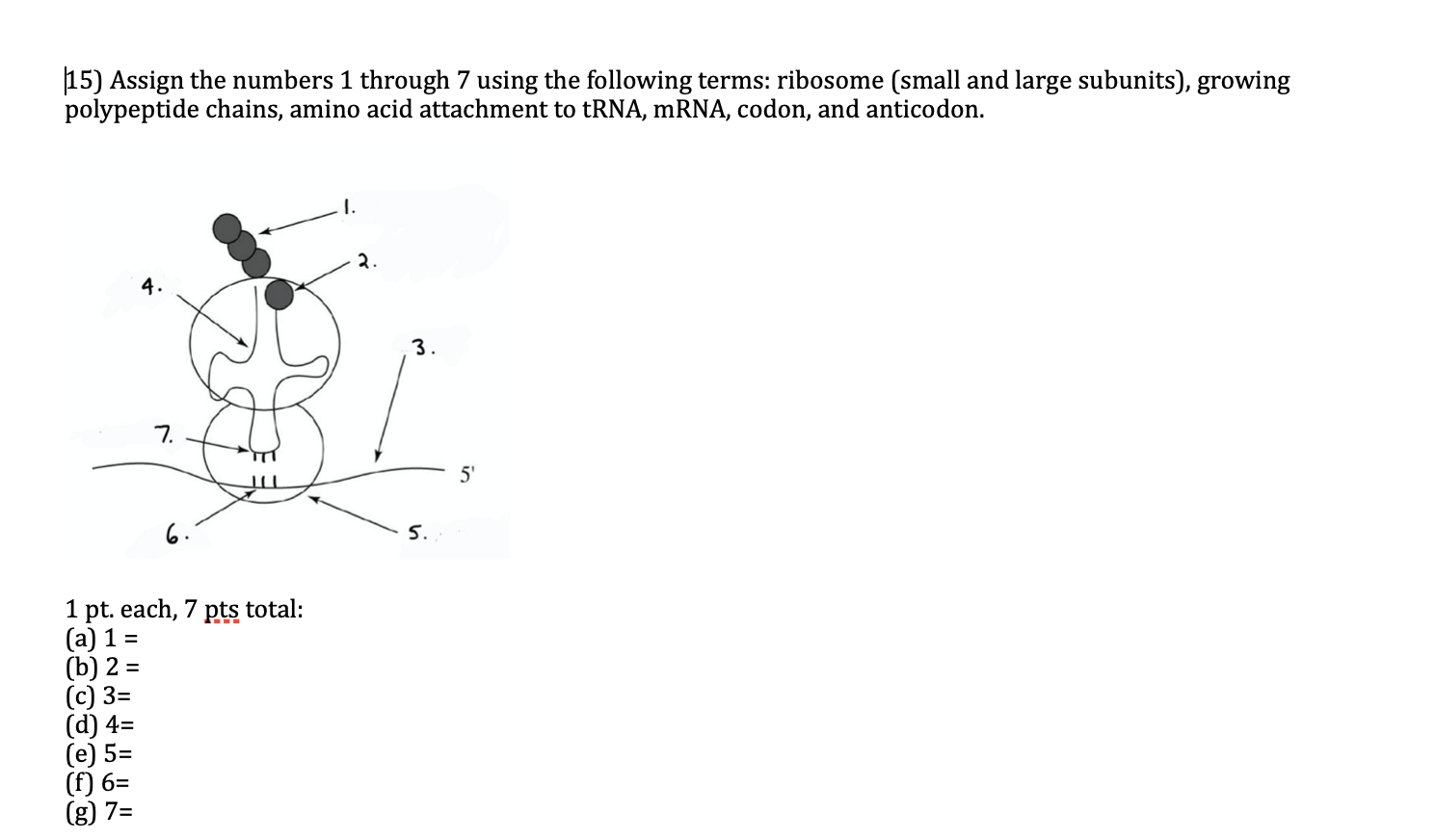 Solved 115) Assign the numbers 1 through 7 using the | Chegg.com