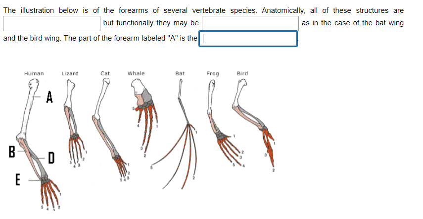 Solved Match the term to the correct definition. Nodes | Chegg.com