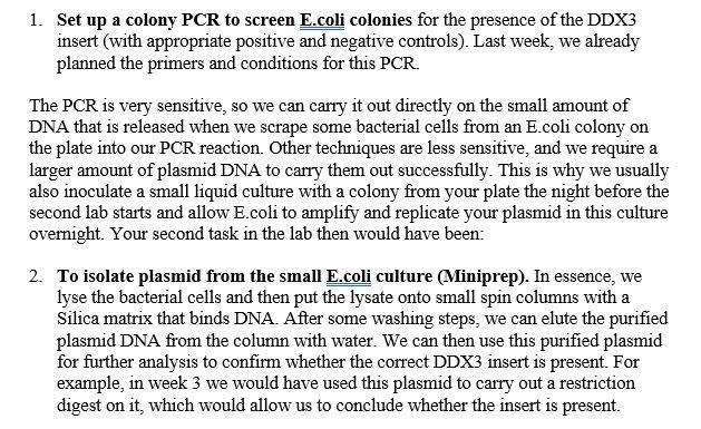 Solved 1. Set up a colony PCR to screen E.coli colonies for | Chegg.com