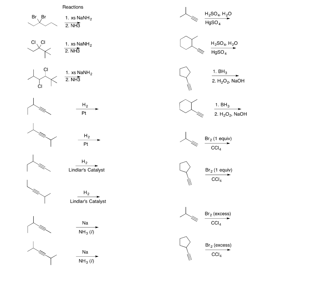 Solved Reactions Br Br 1. xs NaNH2 2. NH3 H2SO4, H20 HgSO4 C | Chegg.com