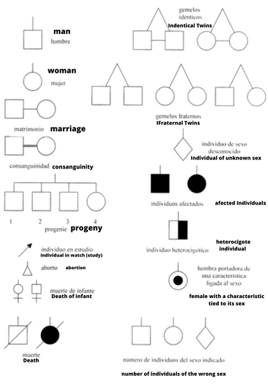 1. Identify the type of inheritance that best | Chegg.com