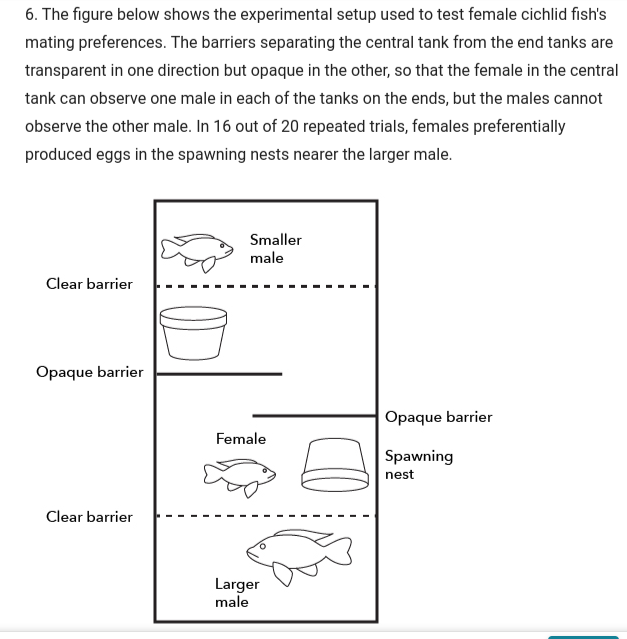 Solved Question: Describe how information moves between | Chegg.com