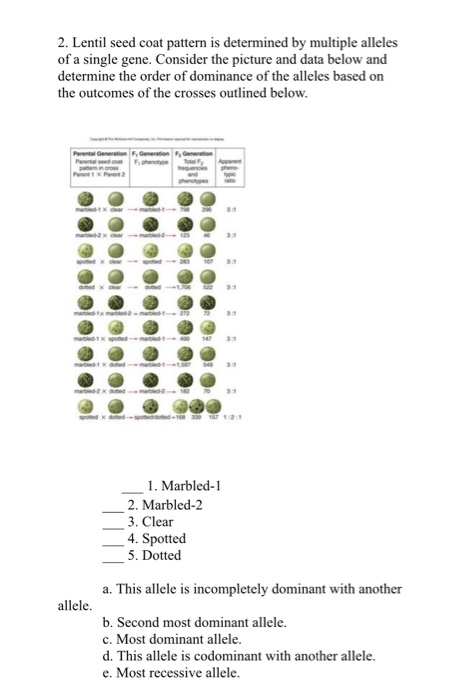 Solved 2. Lentil seed coat pattern is determined by multiple | Chegg.com
