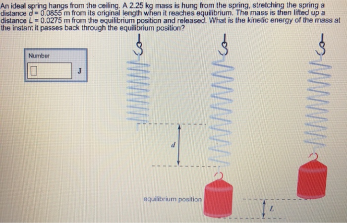 Solved An ideal spring hangs from the ceiling. A 2.25 kg | Chegg.com