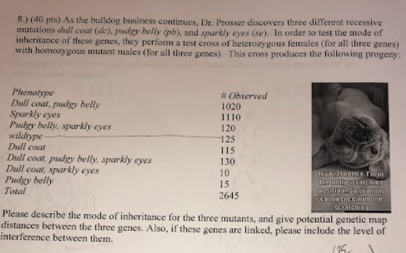 Solved As the bulldog business continues, Dr. Prosser | Chegg.com
