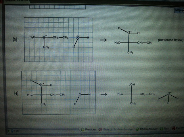 Consider The Acid-catalyzed Hydration Of 3-methyl-1-butene.... | Chegg.com