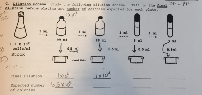 Solved Study the following dilution scheme. Fill in the | Chegg.com