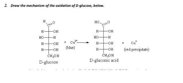 Solved 2. Draw the mechanism of the oxidation of D-glucose, | Chegg.com